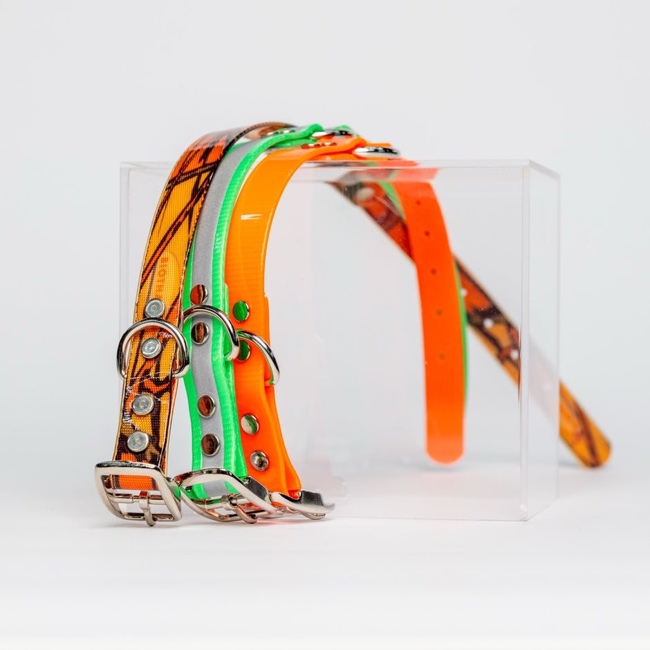 3/4 inch Wide Dog Collars | All Types and Lengths | Okie Dog Supply ...